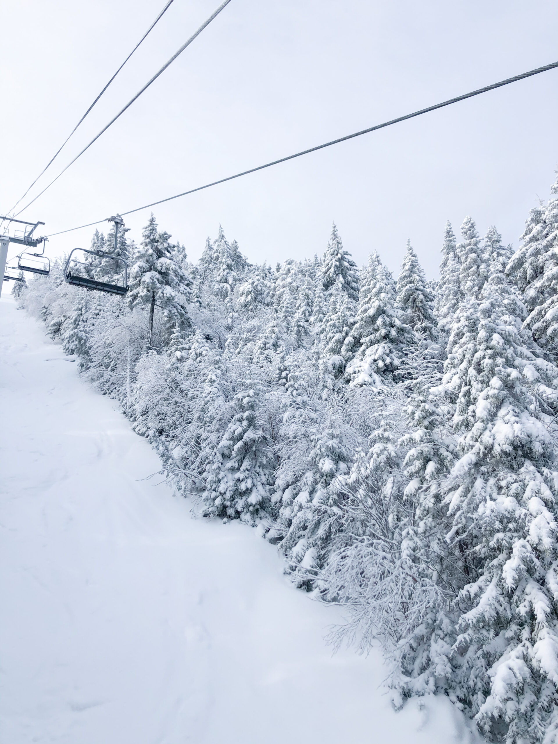 The 10 Reasons Why You Should Learn How to Ski | The Ocean Drifter